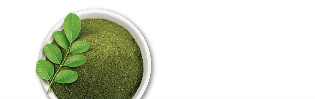 Moringa Capsules – Muntigunung Community Social Enterprise